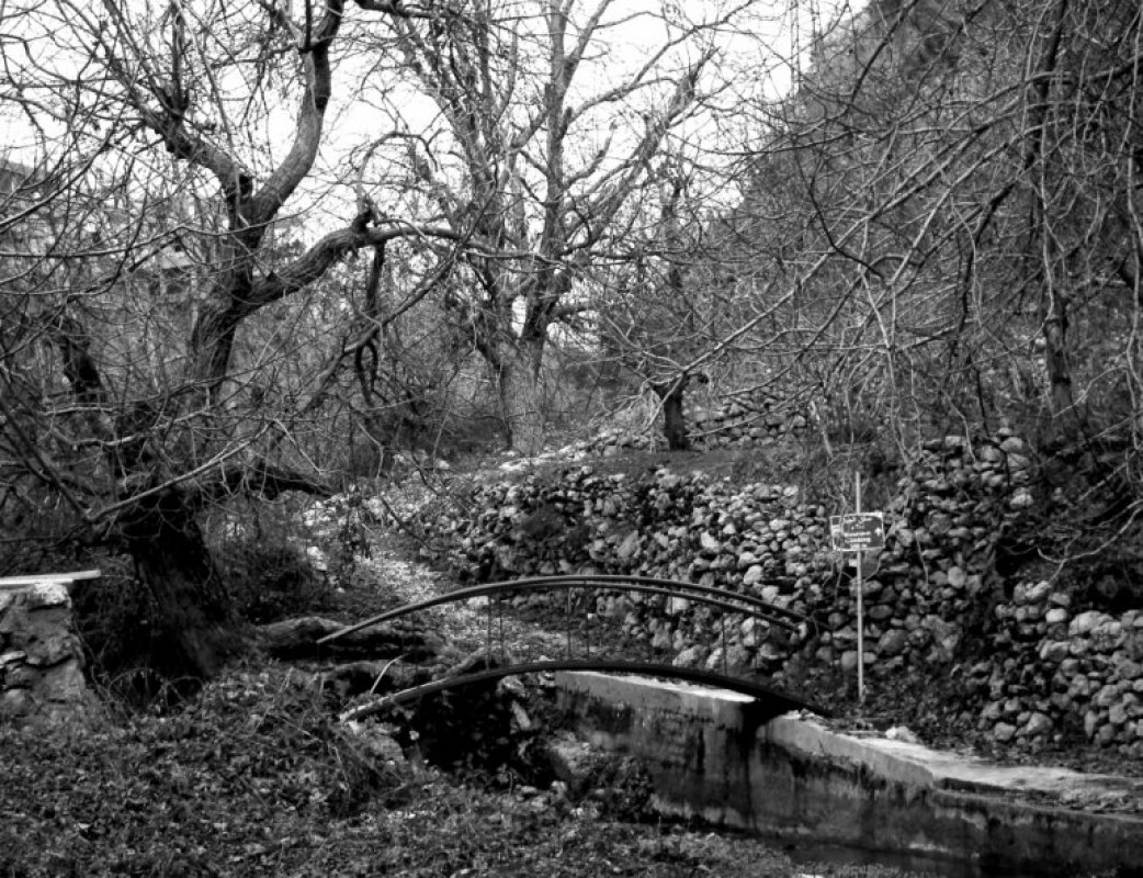 Discover Chebaa-South Lebanon